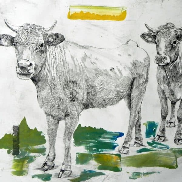 Maria Savka – Waterford Fair